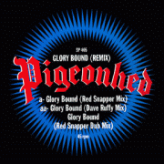 Pigeonhed Promotional and Press on Sub Pop Records